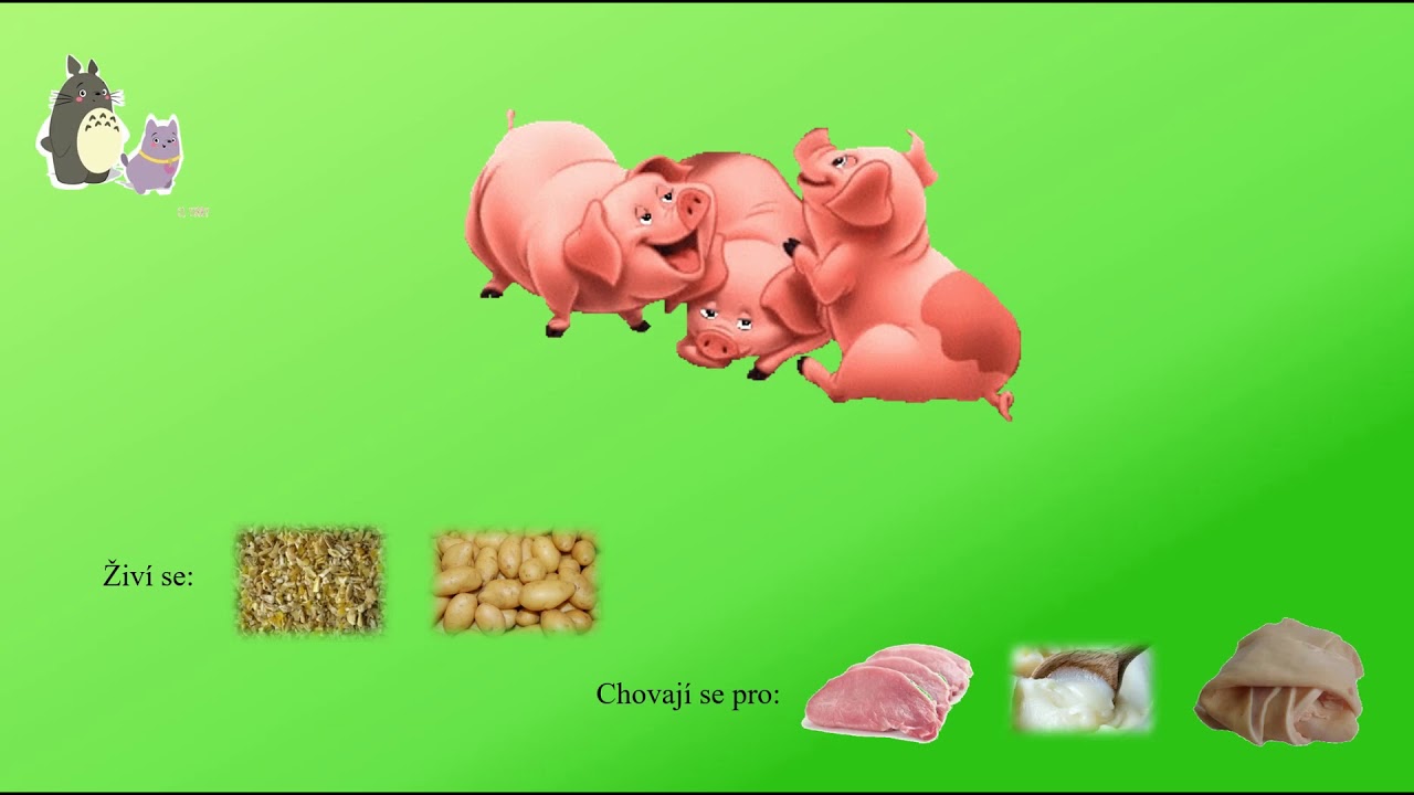 Prvouka - Hospodářská zvířata a domácí ptáci - YouTube