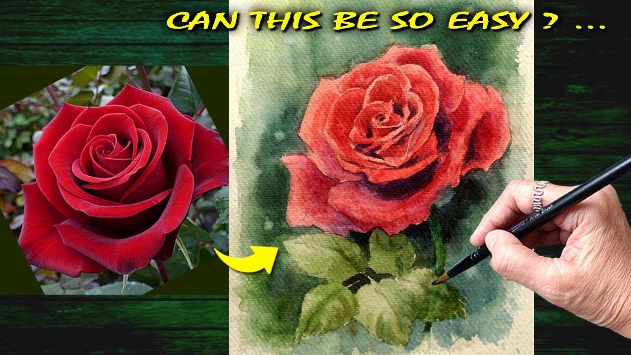 🎨 Painting a Difficult Rose Can Be This Easy | Watercolor | Watercolour ...