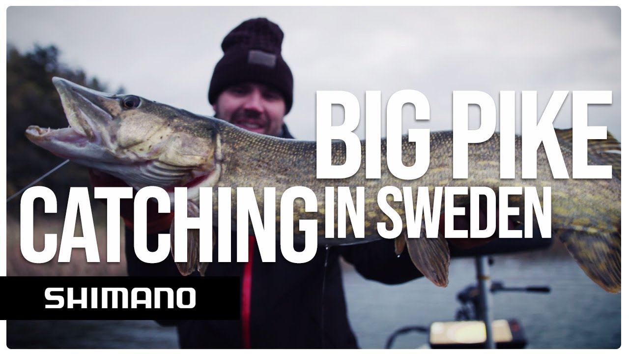 Catching big pike in Sweden! - Pike fishing in Sweden | Yasei Pike Rod ...