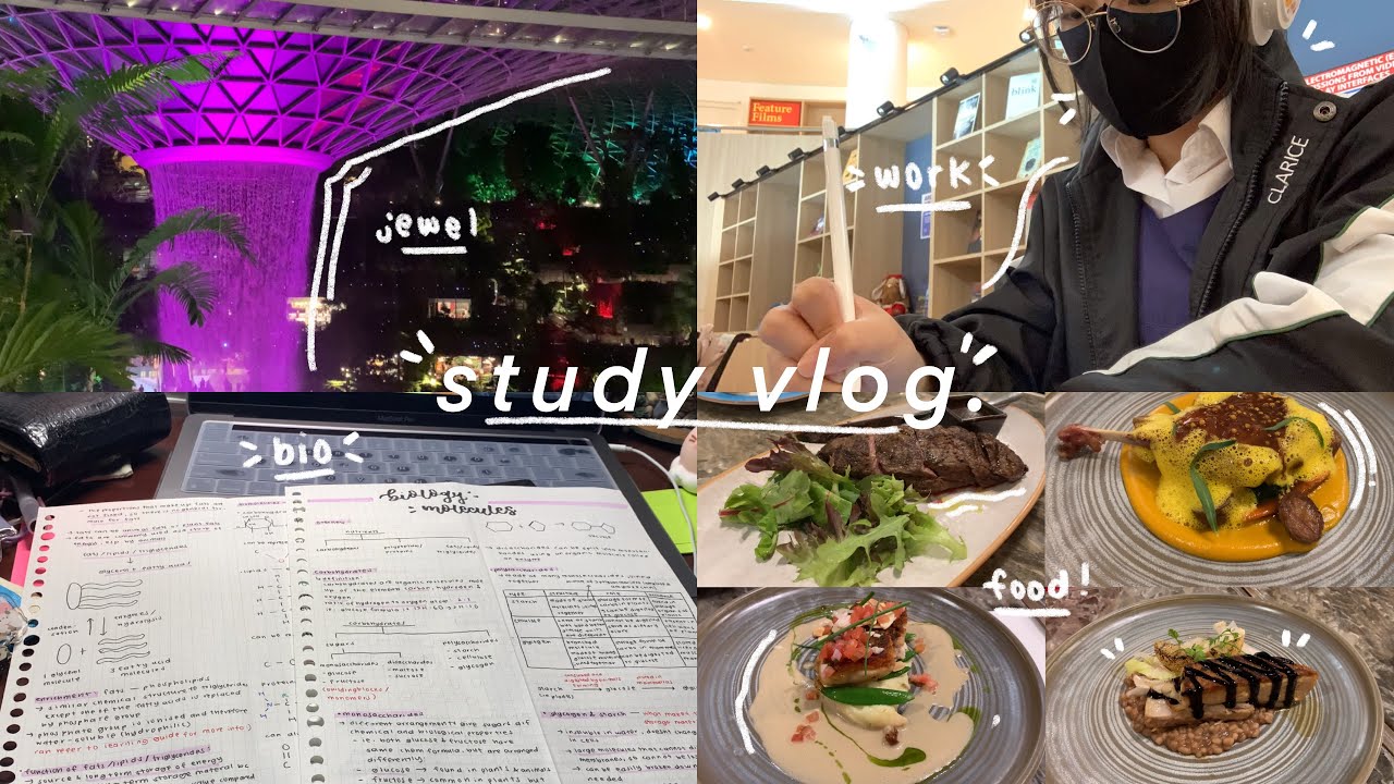 LNY study vlog 🌷| 8h study days, study motivation - YouTube