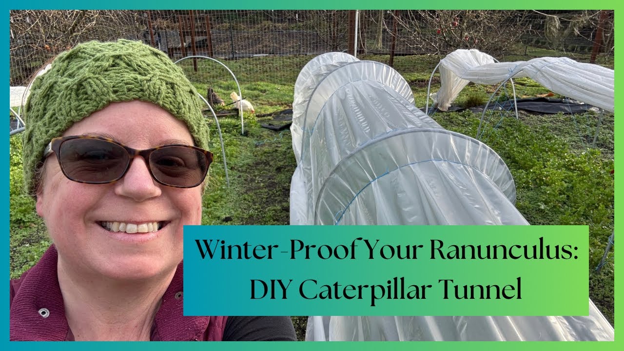 Protect Your Ranunculus this Winter: How to Build a Caterpillar Tunnel ...