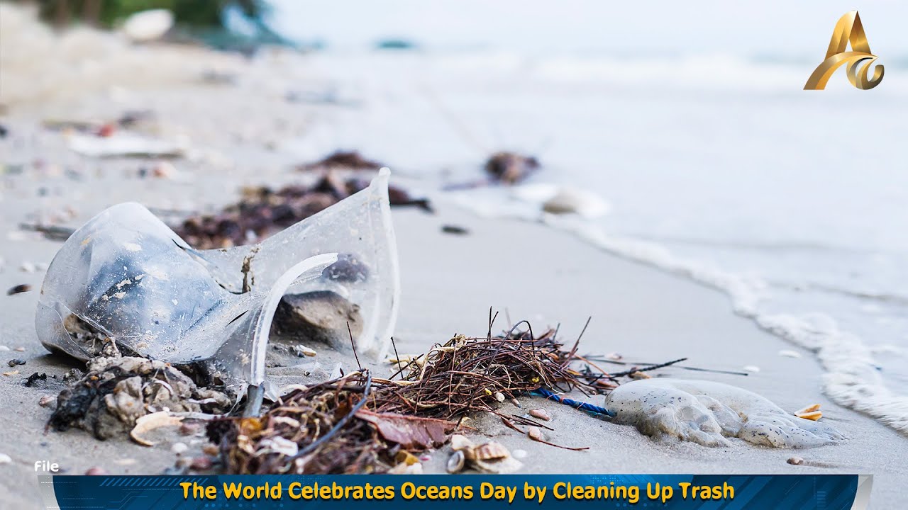The World Celebrates Oceans Day by Cleaning Up Trash - YouTube