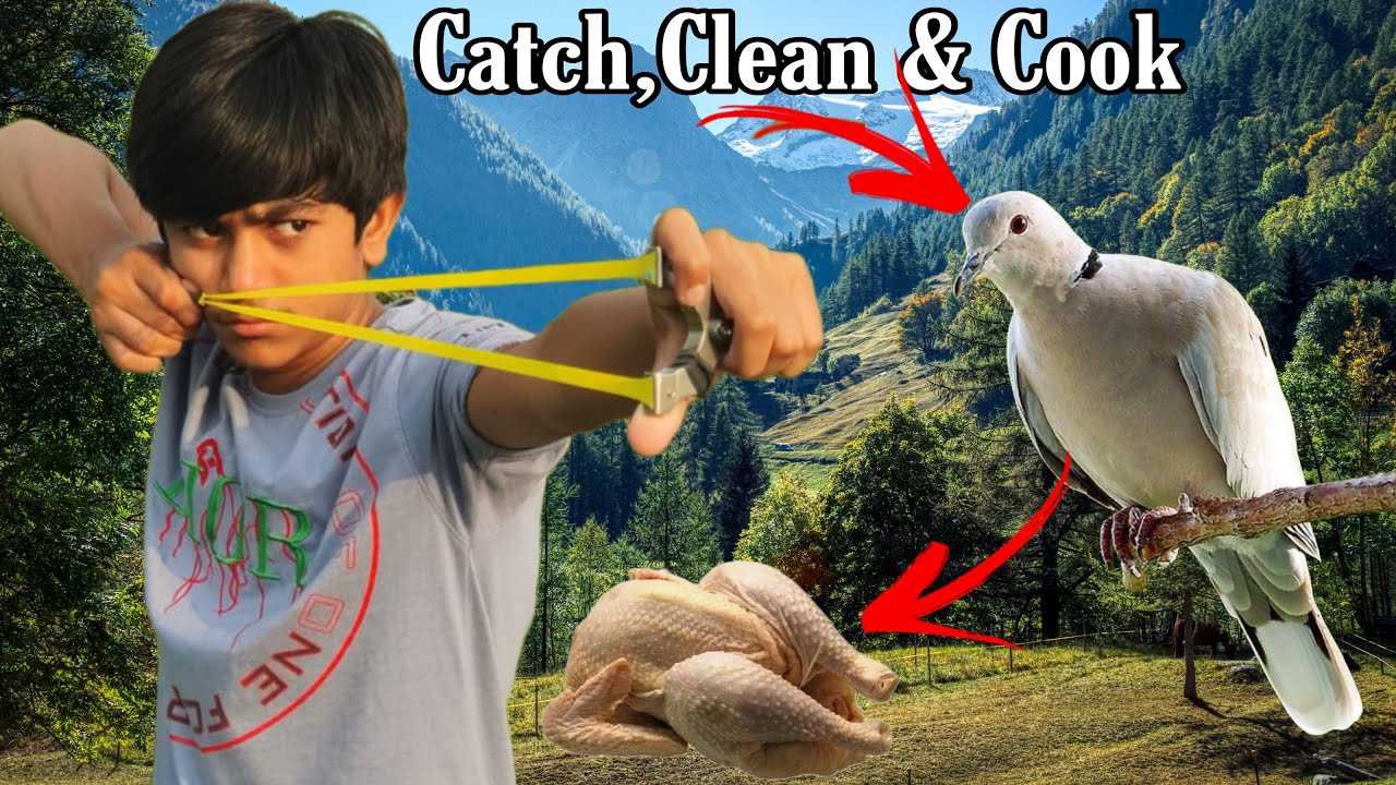 Slingshot Hunting Wild Birds Catch,Clean & Cook | Outdoors Birds ...