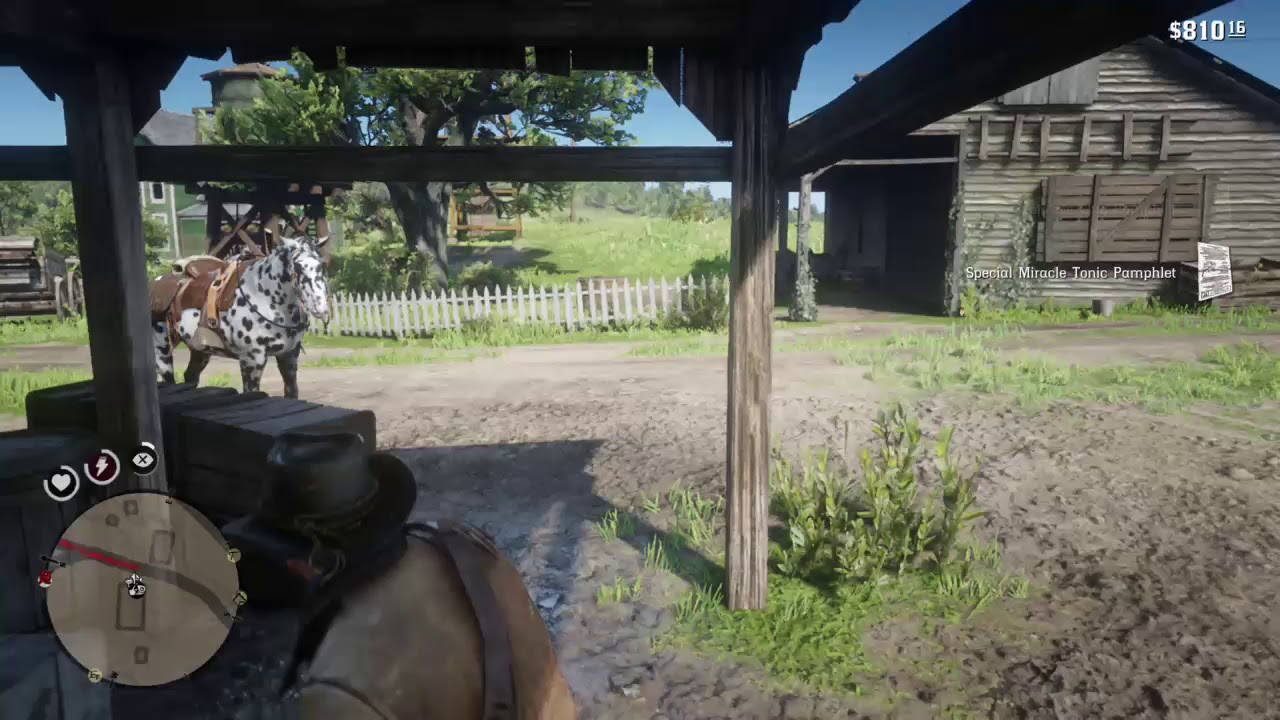 Red Dead Redemption 2 Crafting Dynamite Arrow Pamphlet Location - YouTube