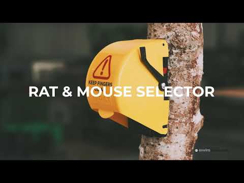 D-RAT - The easy to use multi-rodent trap - YouTube
