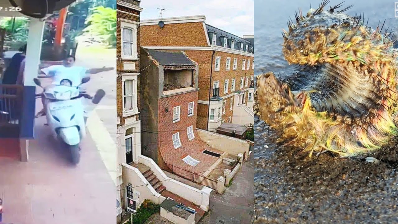 Most Strangest Things Happening Worldwide | WATCH AT YOUR OWN RISK ...