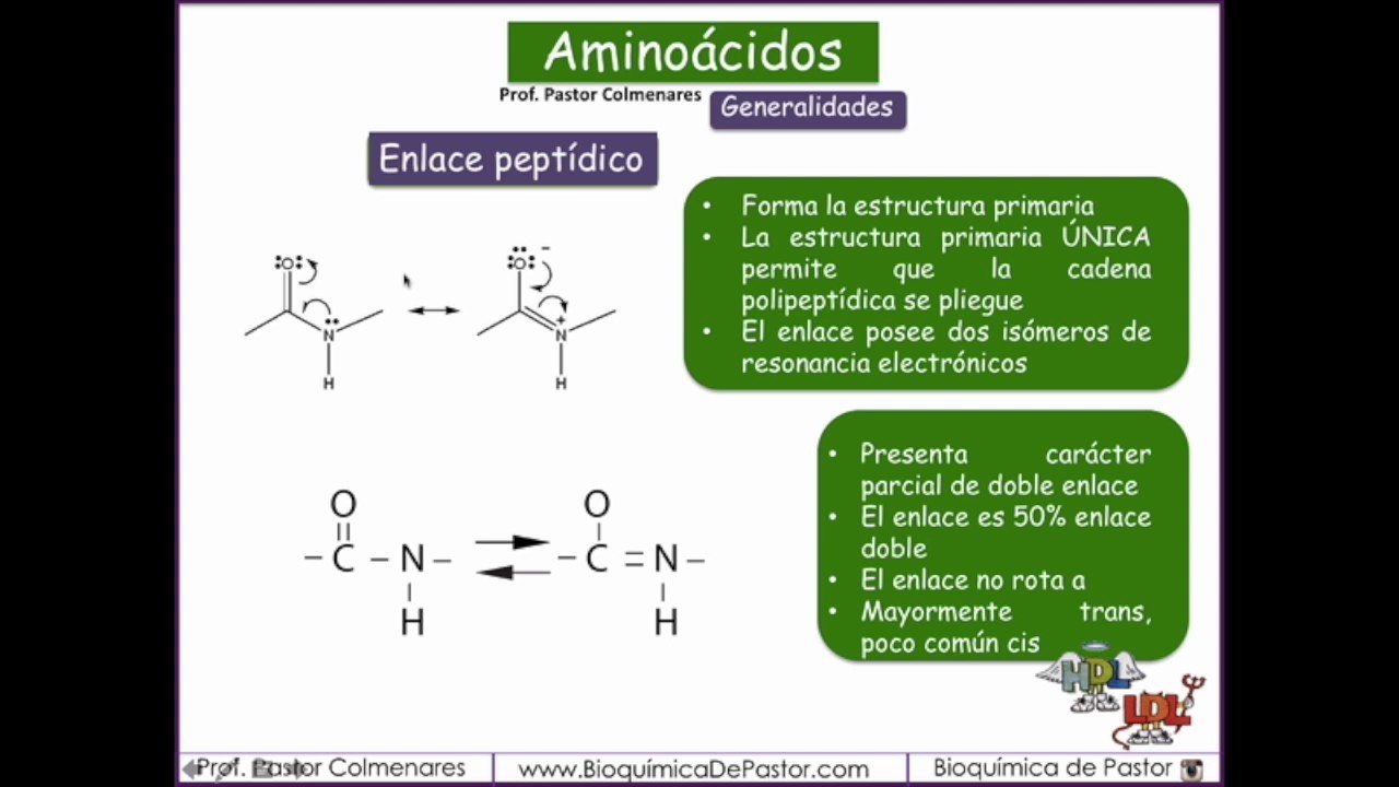 Aminoácidos (Generalidades) - Parte I - YouTube