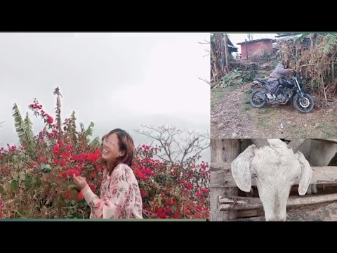 Simal ko fhull tipni gako vetiyen guys😂😂new vlog #susmita #subscribe # ...