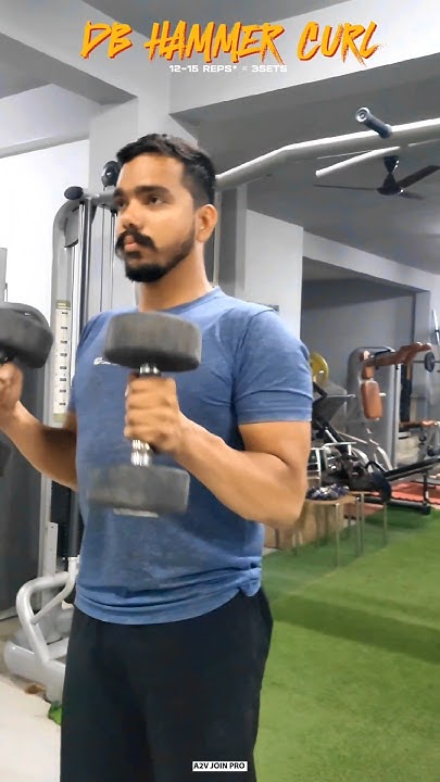 DB HAMMER CURL 👌 ️#biceps #youtubeshorts #motivation #desi #trendingshorts @mercuri_88 @tseries ...