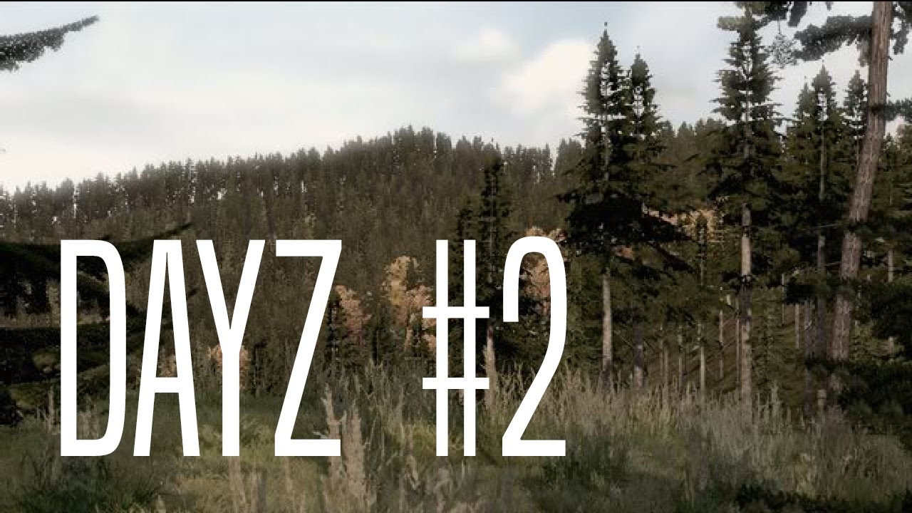 WOAH JACKIE CHAN! - DayZ #2 - YouTube