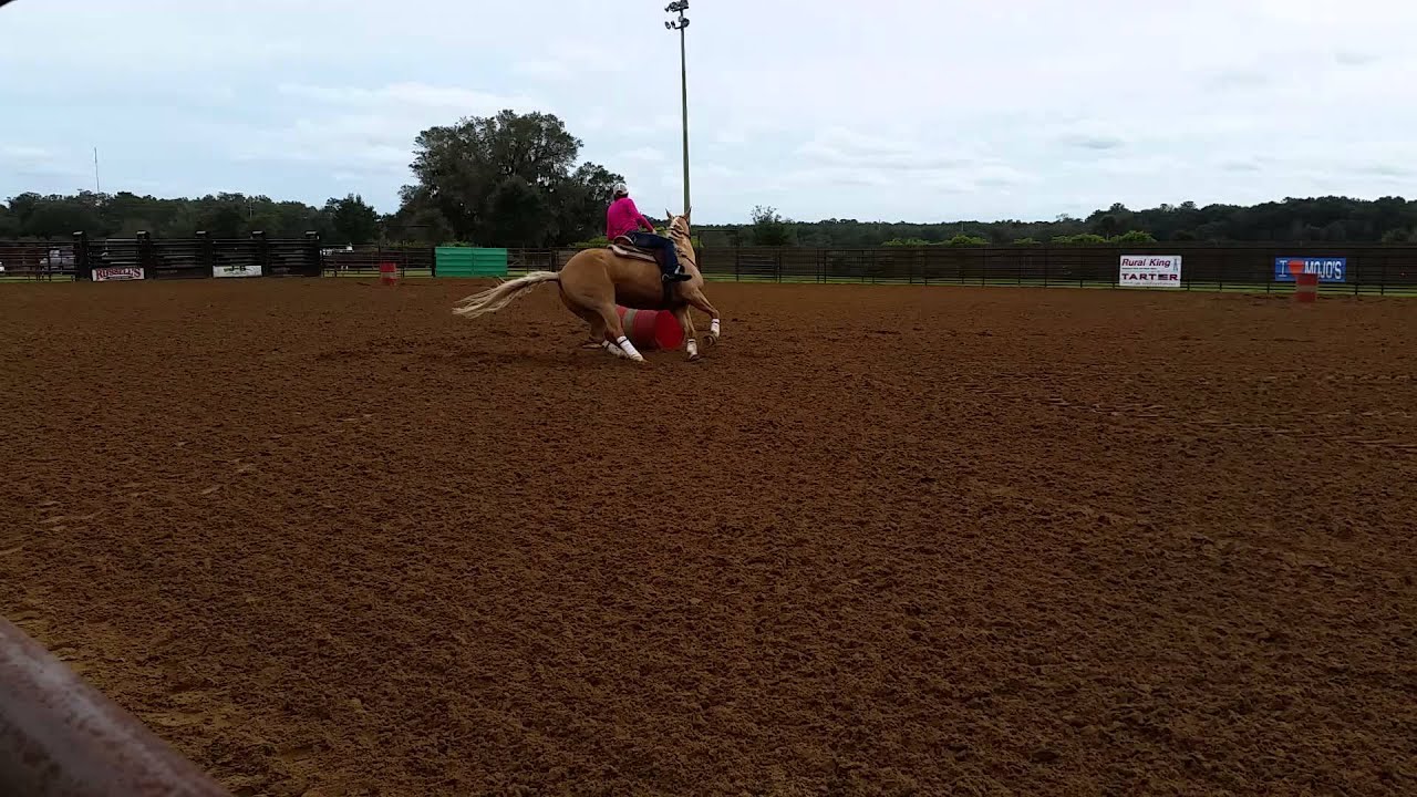 Mandy & Maximum Gold 1/10/16 ORG - YouTube