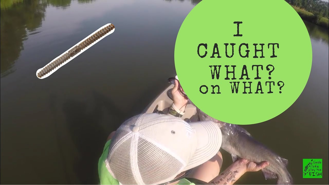 5 lb catfish on drop shot - YouTube