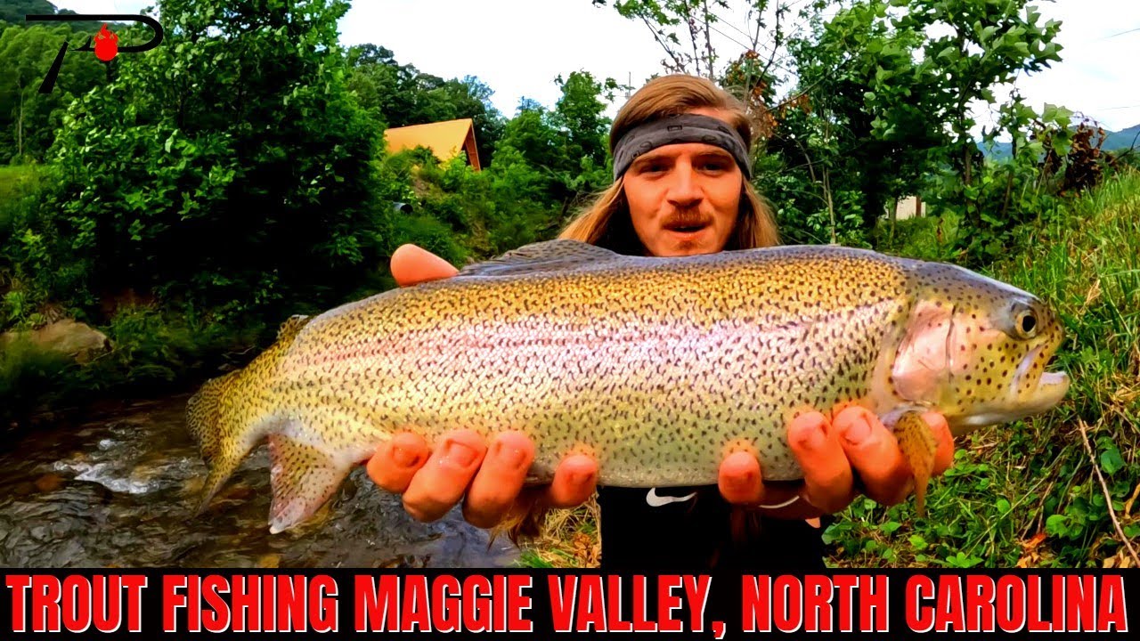 Trout Fishing North Carolina's Maggie Valley - YouTube