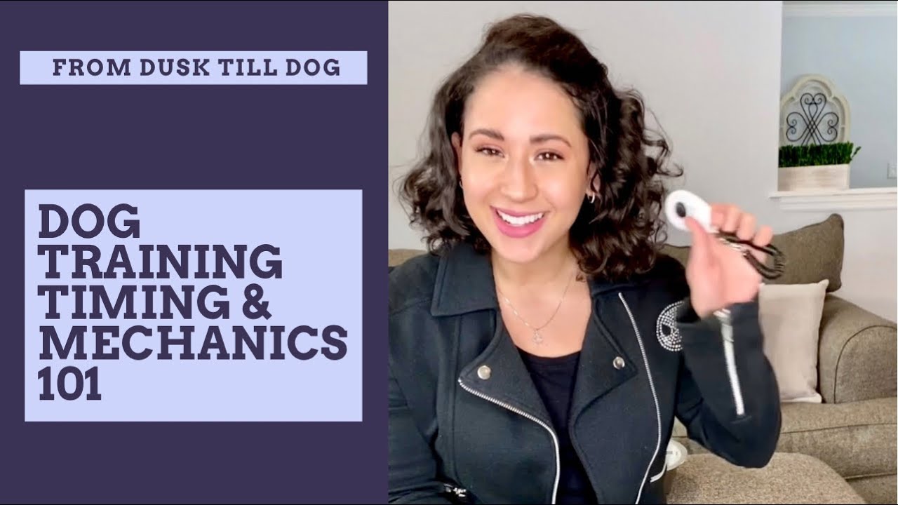 Dog Training Timing & Mechanics 101 - YouTube
