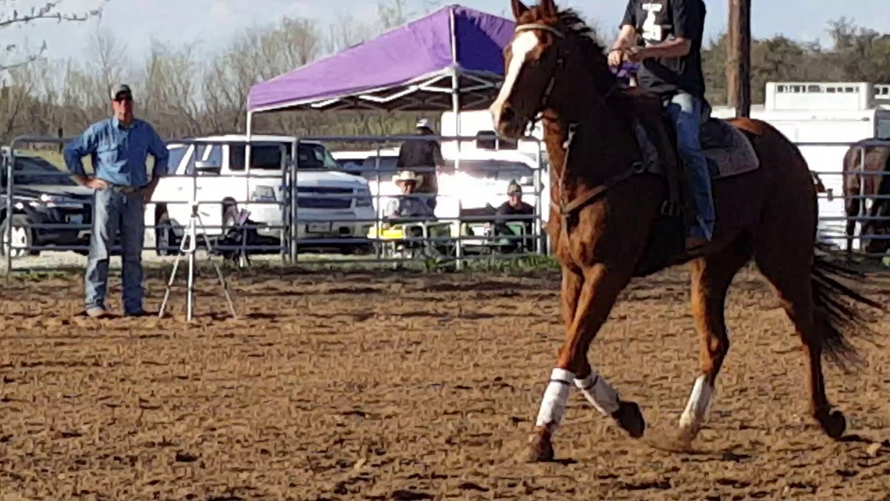 Cash...goat slapping - YouTube