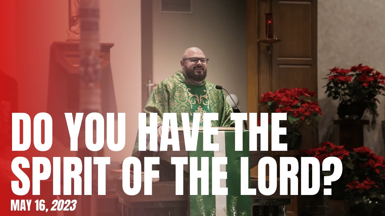 Ambassadors of Another World - Fr. Patrick Schultz - YouTube