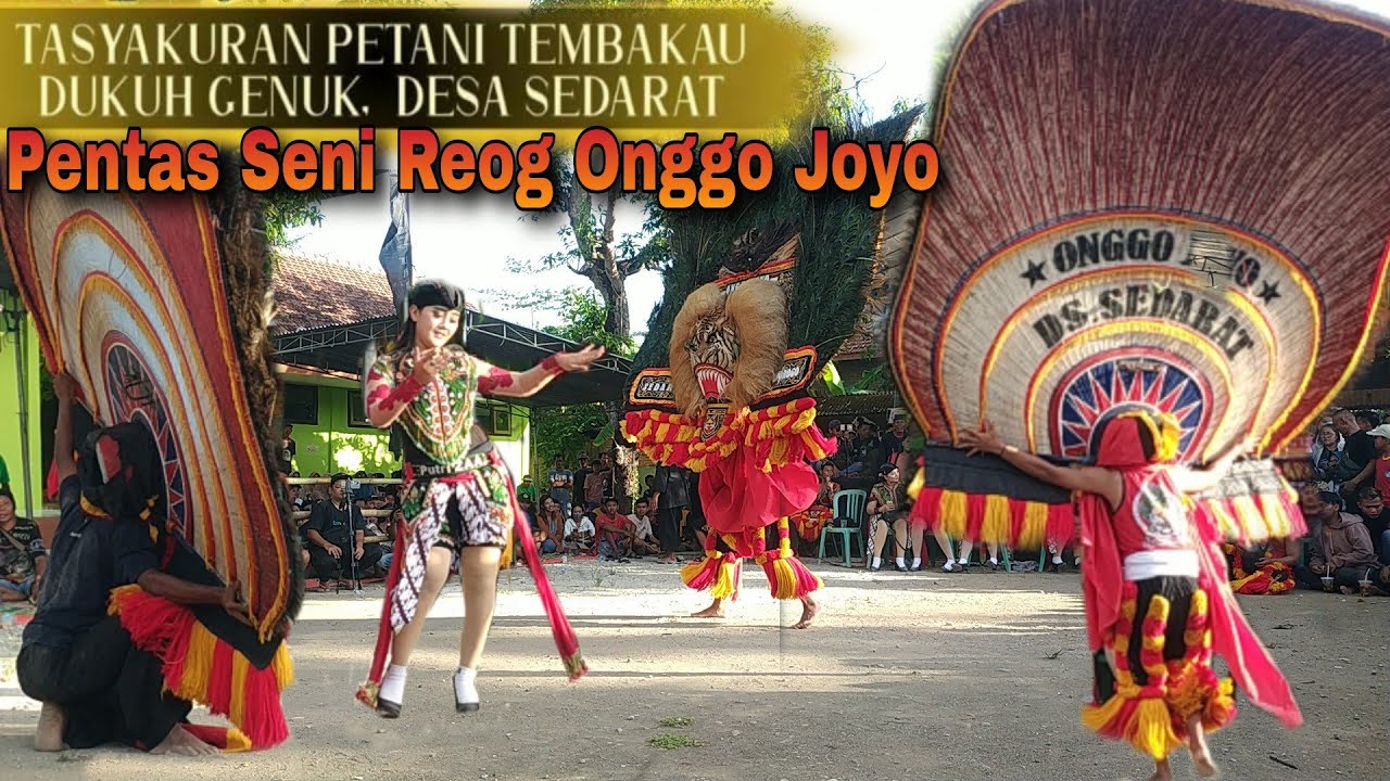 Full Pembarong..!! Seni Reog Onggo Joyo Tasyakuran Petani Tembakau ...