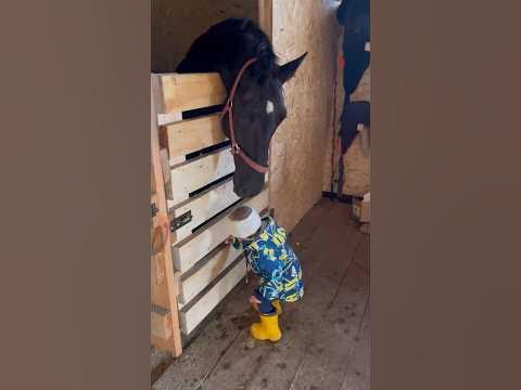 ЛОШАДИ И РЕБЁНОК🥰 #деревня #лошади #конюшня #русскаядеревня # ...