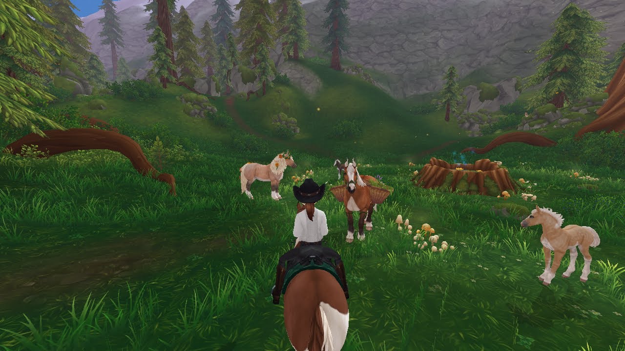 SSO Update Time | Into the Wilds Of the Redwood Forest?! Foresters ...