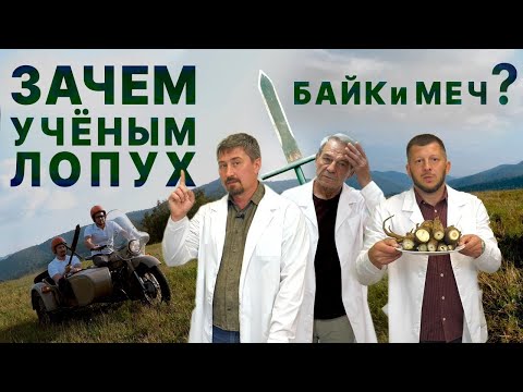 КОРЕНЬ ЛОПУХА | ЧТО ЛЕЧИТ | КАК ПРИГОТОВИТЬ | ЛОПУХ ЛЕЧЕБНЫЕ СВОЙСТВА | ФИТО-ПРОЕКТ | ВИСТЕРРА
