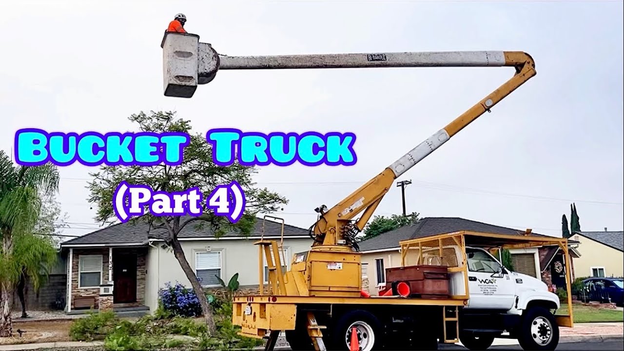 BUCKET TRUCK in Action｜Tree Trimming Crew (Tree Surgeon) At Work (Part ...