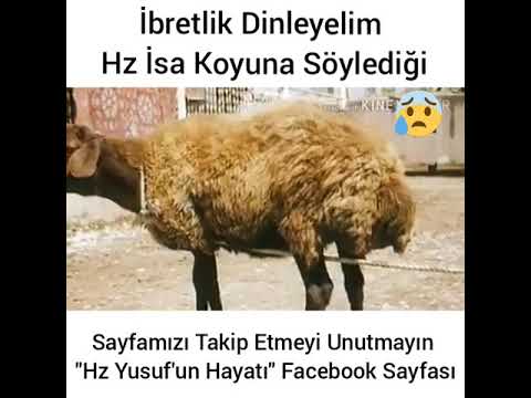 İbretlık dinleyelim lütfen.   Hz isa koyuna söyledıgı