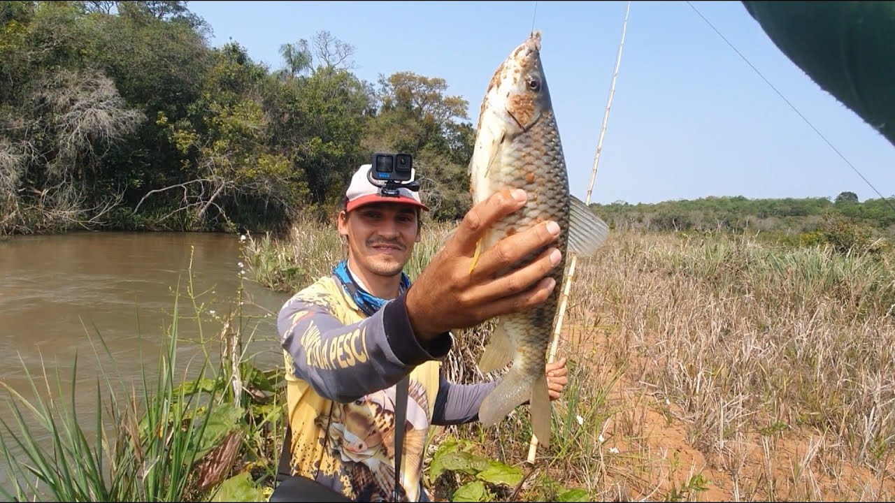 PESCA DOS PIAU BRUTO, COM LINHARES DA PESCA E WELLINTON RIBEIRO ...