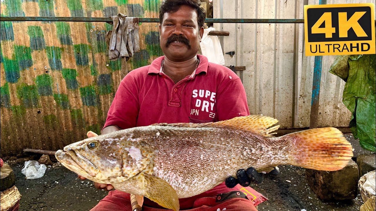 Kalavan fish/Kerai fish cutting video/Fishcuttingrs #fishcuttingrs # ...