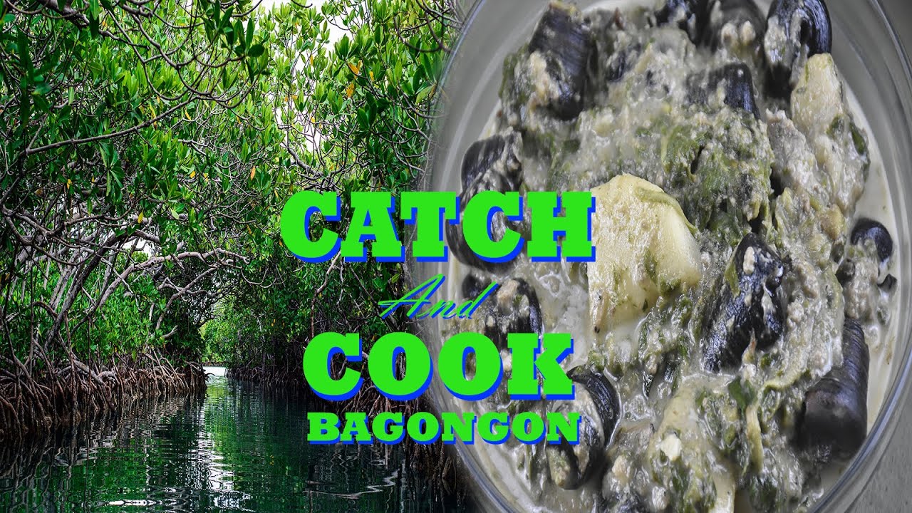 Catch and cook BAGONGON || #Buhayprobinsya || #IsabelaBasilan - YouTube