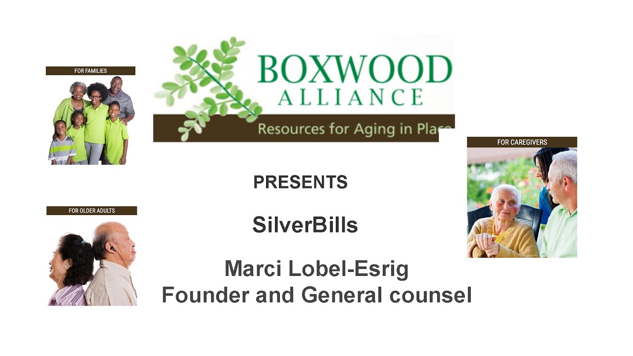 SilverBills with Marci Lobel-Esrig - YouTube