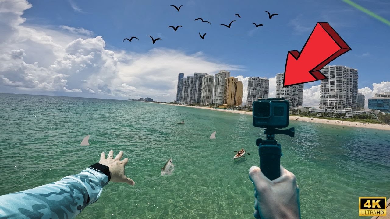 Tossed a GoPro Under a Famous Fishing Pier *Crazy Results*Shocked ...