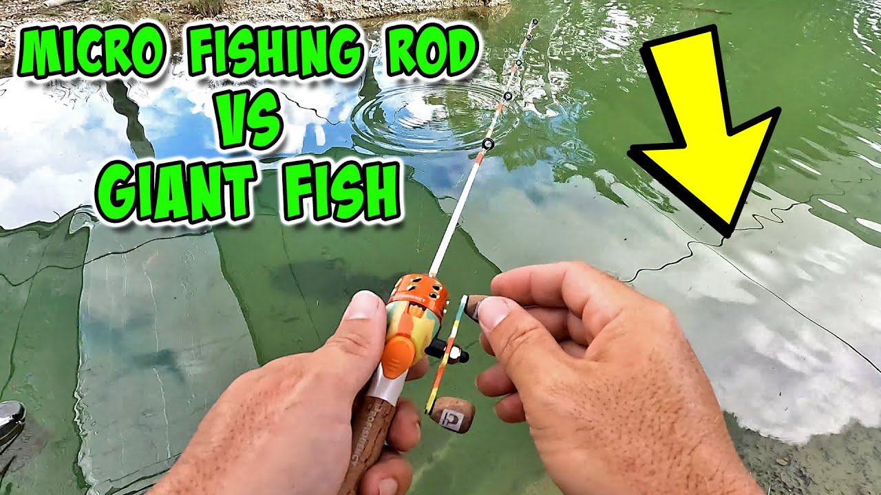 GIANT FISH ON MICRO FISHING ROD - YouTube