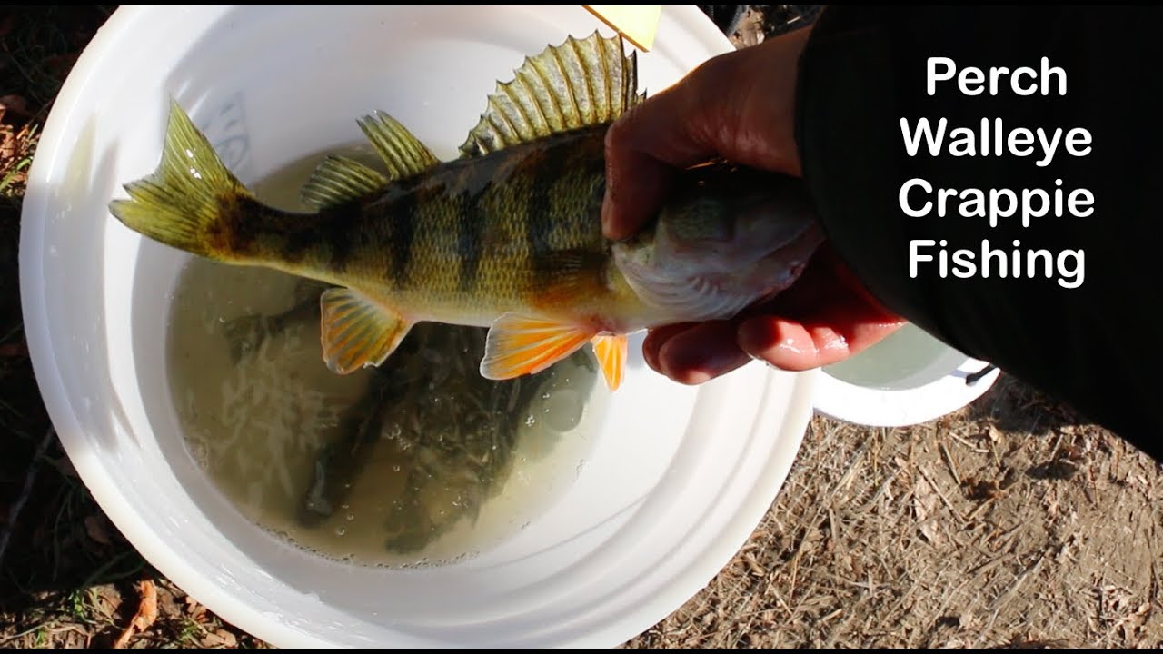 Crappie, Perch and Walleye Fishing- How to catch Fall PanFish - YouTube