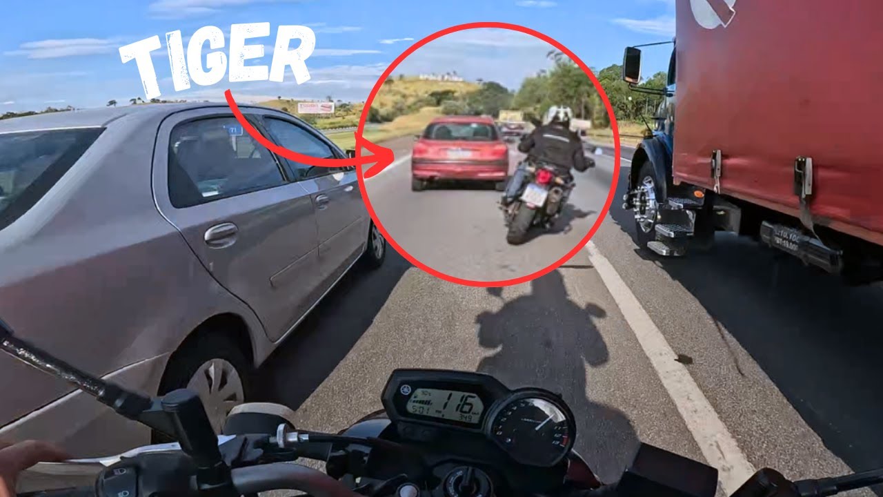 XJ6 APANHANDO DA TIGER!! GoPro 12 - 4K - YouTube