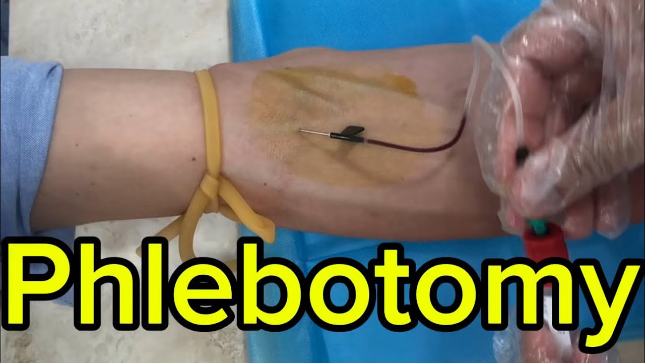 Phlebotomy - YouTube