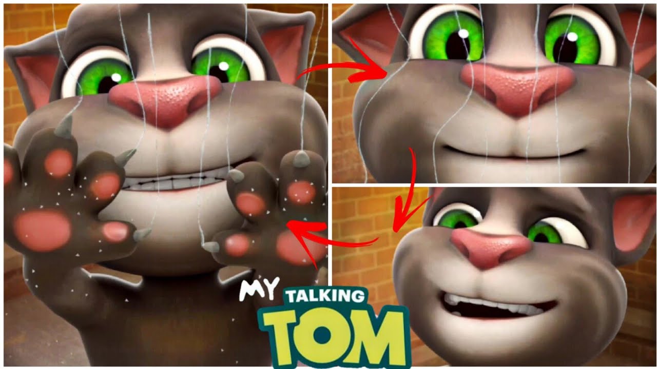 funny my Talking Tom compilations 🙏🤣🤣🤯🍇💥👍👍 funny shorts 🤣 - YouTube