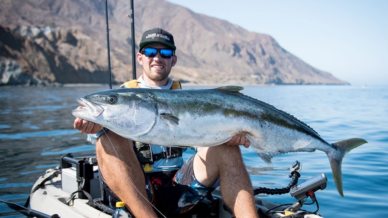 CEDROS ISLAND - Massive 43.6lb Yellowtail - Day 1/4 - YouTube