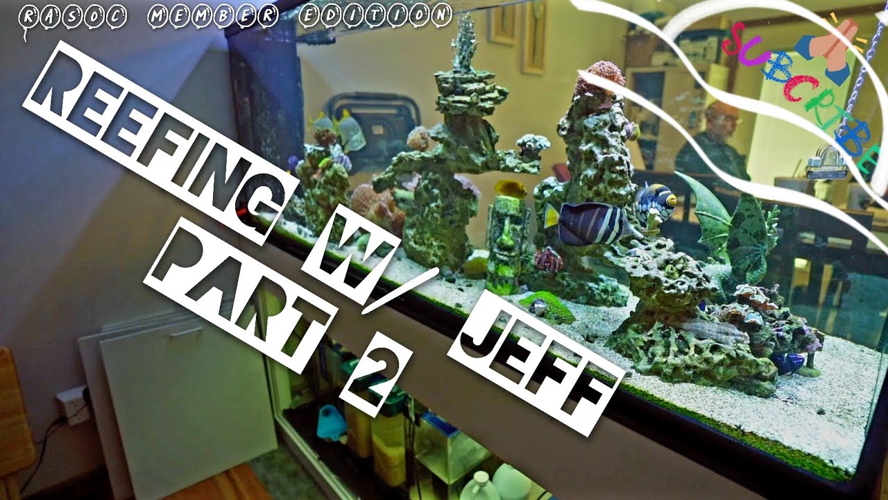 Reef Tank Tour - RASOC Member Edition - Jeff's @PLANET AQUARIUMS ...