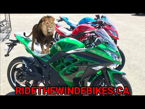 2021 Tao Leo 72V 50AH lithium Ebike Full Review Bought From Ride The ...