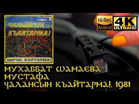 Мухаббат Шамаева - Мустафа (Чалансын Къайтарма!), 1981