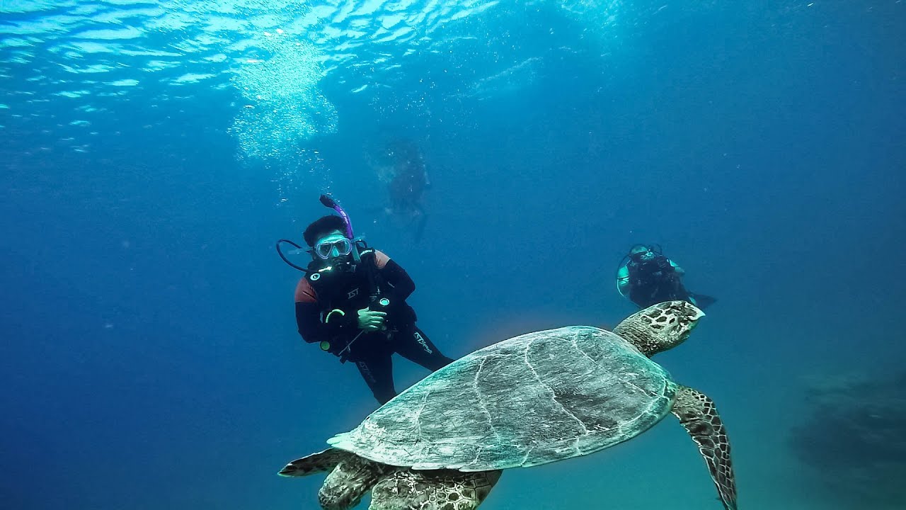 Diving on 6 3 2020@ Yanbu Red Sea updated - YouTube