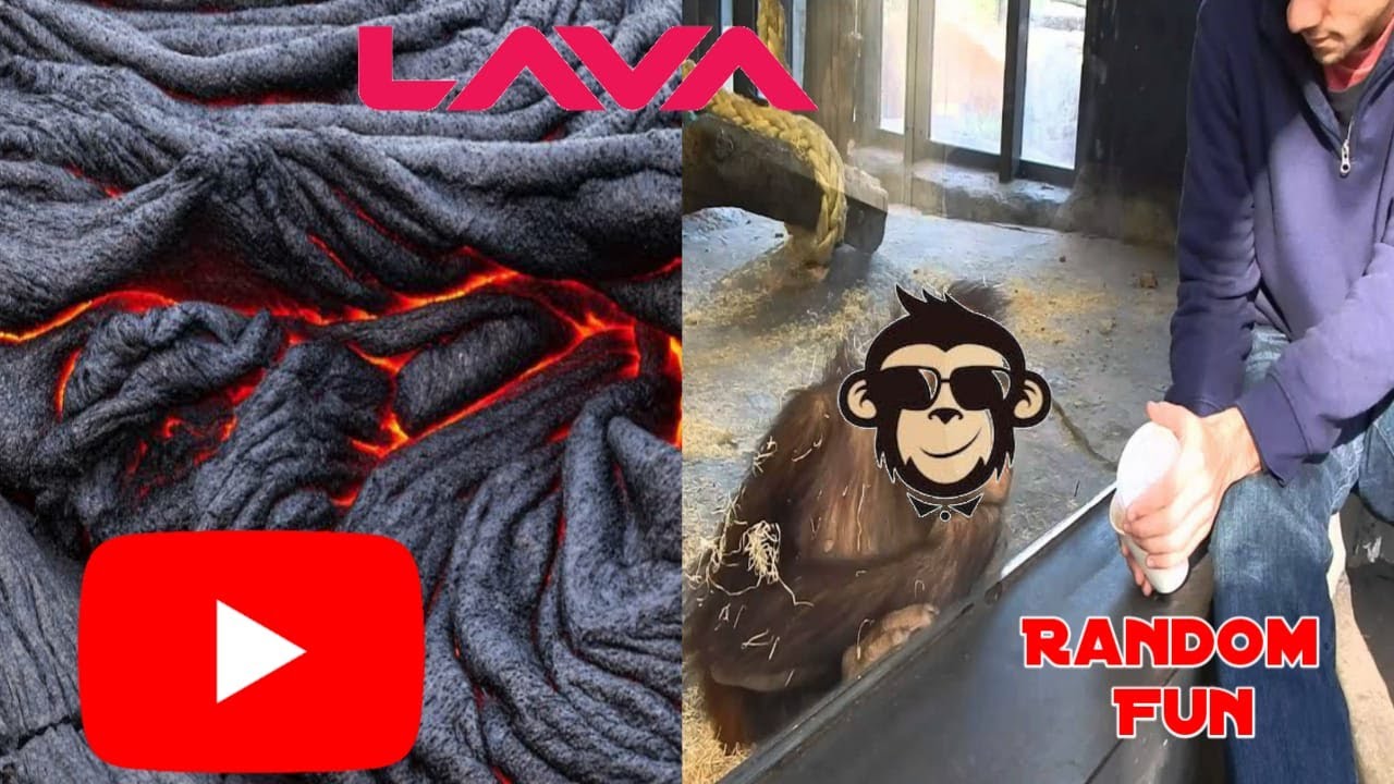 Extraction of Lava🌋 and Monkey Reaction to Magic🐒 - YouTube