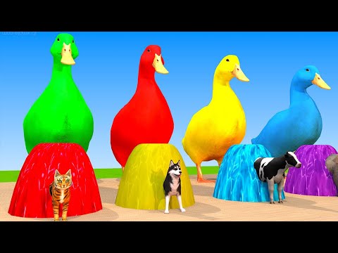 Baby duck cartoon vs dogs vs cats vs elephants and cows