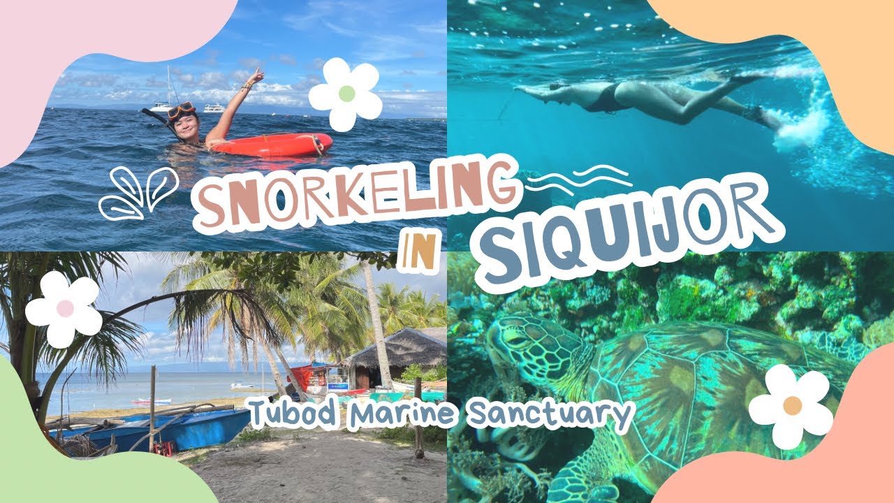 SIQUIJOR ISLAND | TUBOD MARINE SANCTUARY - YouTube
