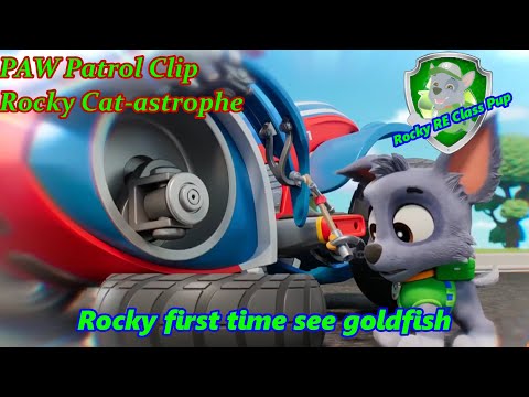 PAW Patrol-Clip | Rocky Cat-Katastrophe (Fernsehfilm)