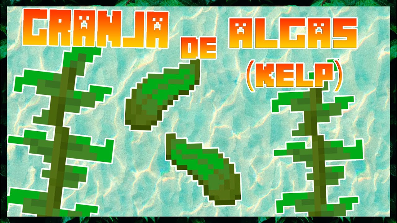 GRANJA DE ALGAS / KELP (Java y Bedrock) - Minecraft Tutorial 1.13 - 1. ...