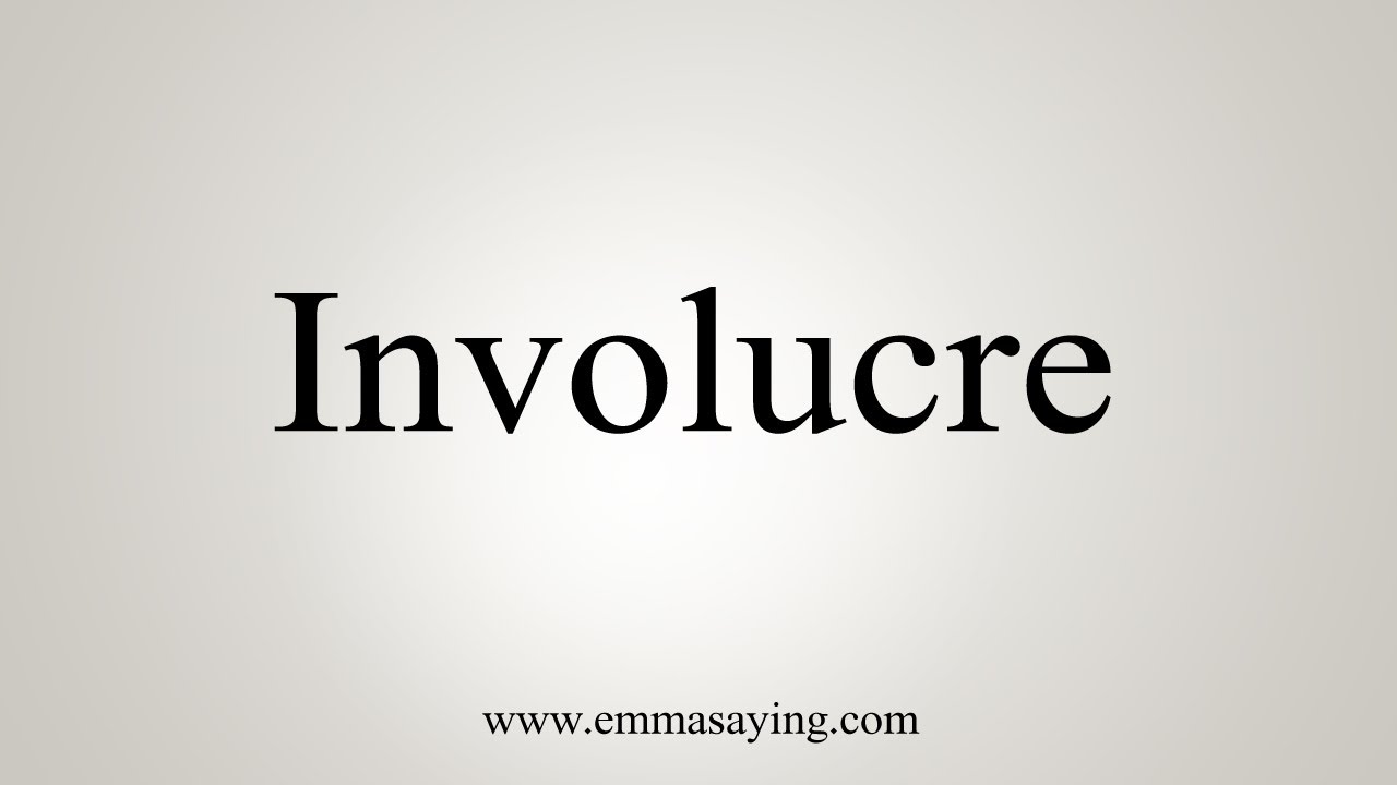 How To Say Involucre - YouTube