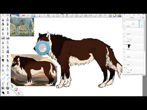 Wolf Tutorial - YouTube