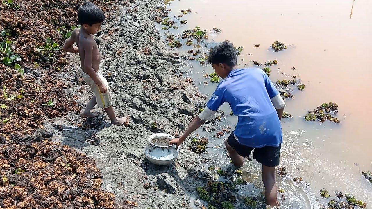 Two Village Boys Hand Fishing in Mud | Best Mud Fishing - YouTube