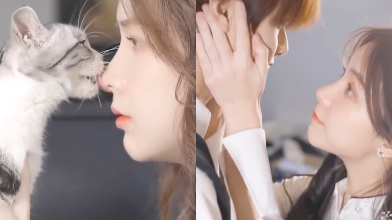 Love Between Handsome Cat And Beautiful Girl Human Cute And Sweet ...